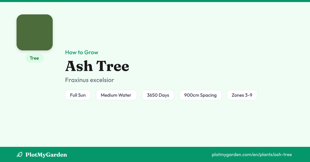 Ash Tree — Growing Guide, Companion Plants & Care Tips | PlotMyGarden