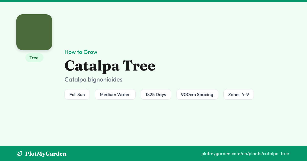 Catalpa Tree — Growing Guide, Companion Plants & Care Tips | PlotMyGarden