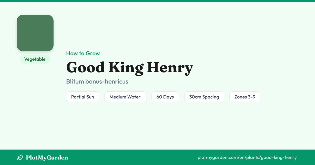 Good King Henry — Growing Guide, Companion Plants & Care Tips ...