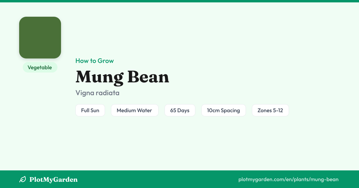 Mung Bean — Growing Guide, Companion Plants & Care Tips | PlotMyGarden