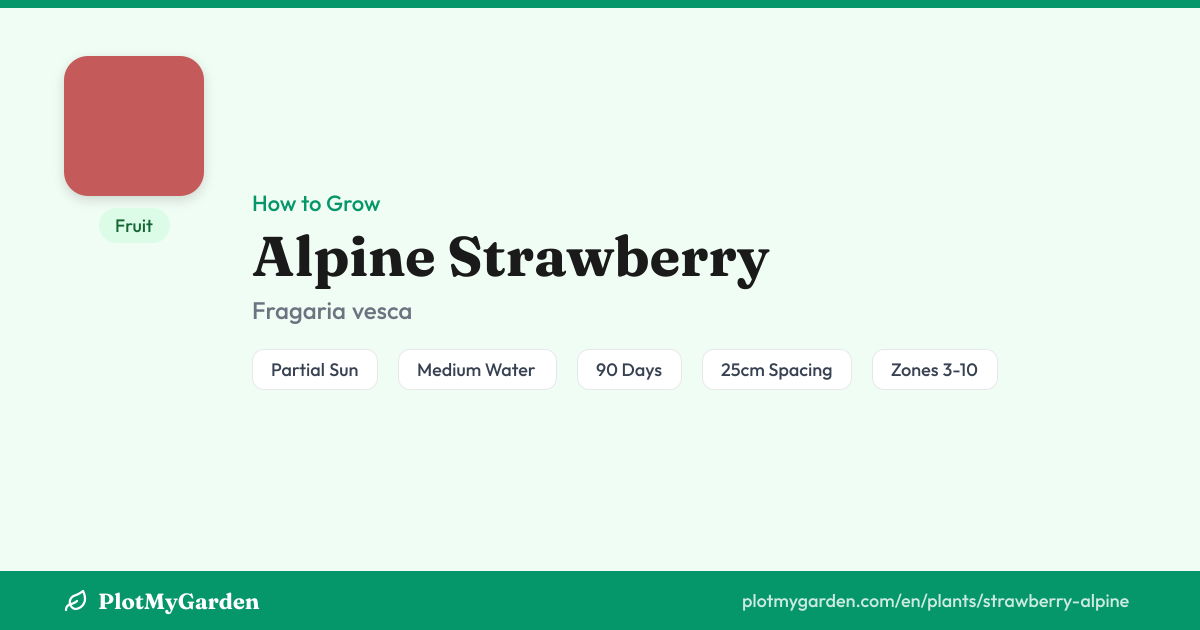 Alpine Strawberry — Growing Guide, Companion Plants & Care Tips ...