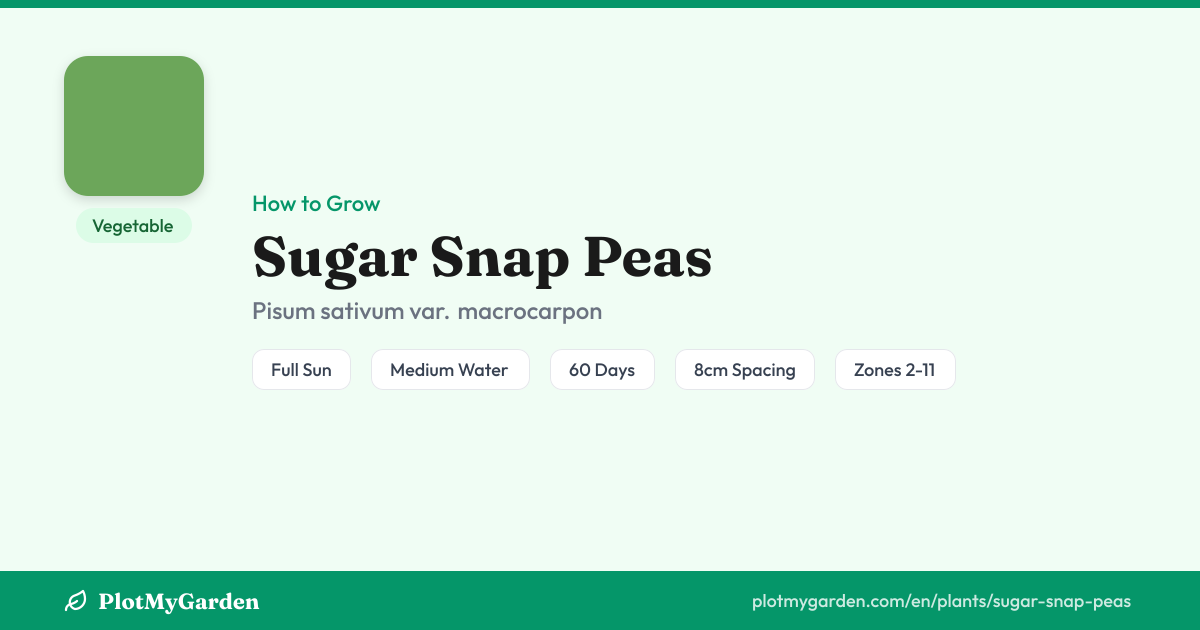 Sugar Snap Peas — Growing Guide, Companion Plants & Care Tips ...