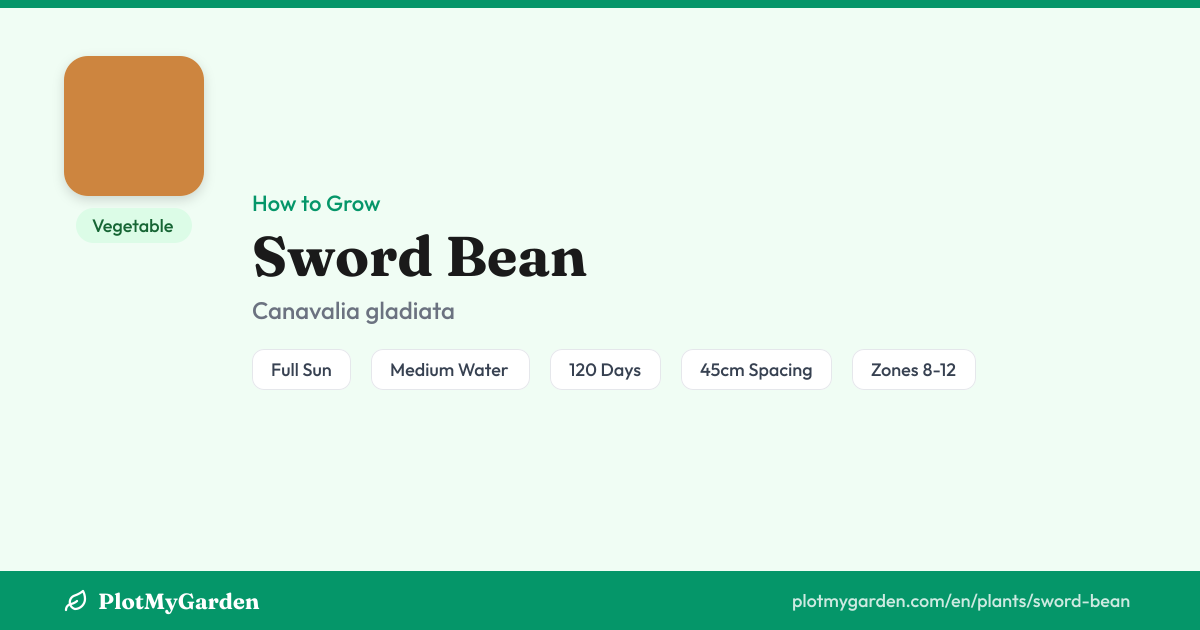 Sword Bean — Growing Guide, Companion Plants & Care Tips | PlotMyGarden