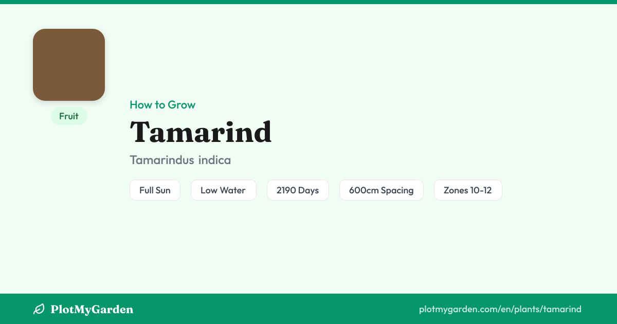 Tamarind — Growing Guide, Companion Plants & Care Tips | PlotMyGarden