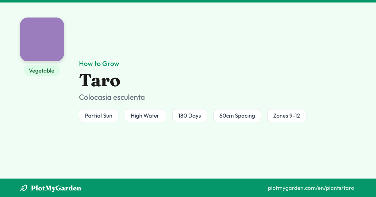 Taro — Growing Guide, Companion Plants & Care Tips | PlotMyGarden
